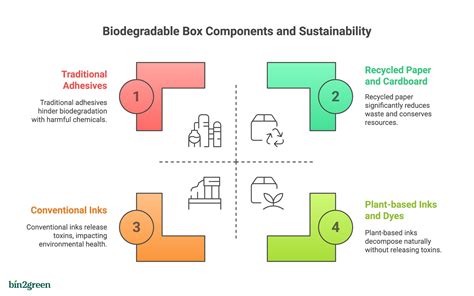 Biodegradable Boxes What The Shift Could Mean For Sustainability