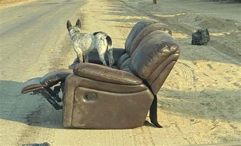 Прости ми мамо Площада