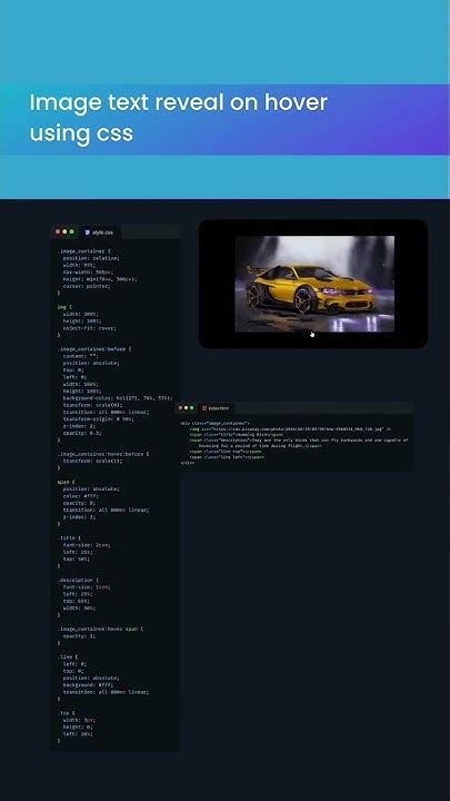 Image Text Reveal On Hover Using Css ️ Roadsidecoder Youtube