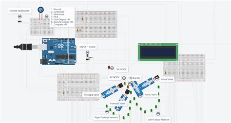 Human Heart Simulation With Arrhythmia Using Electronics