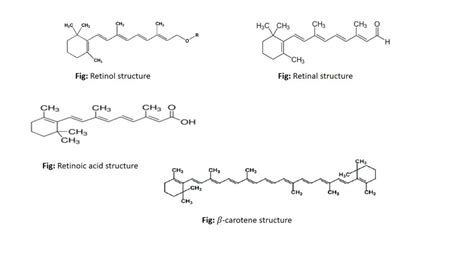 Vitamin A Structure Functions Properties Source And Deficiency Biology Notes Online