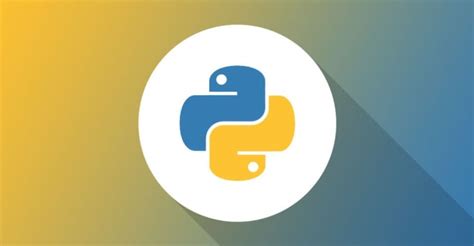 Help You With Any Python Project By Nils686 Fiverr