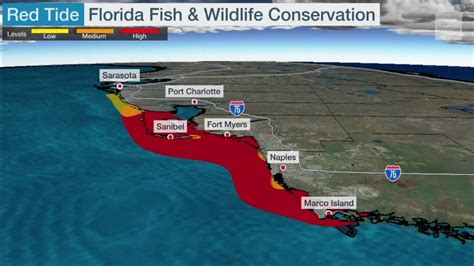 Tide Chart For Fort Myers Beach