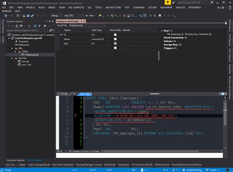 Ef6 Entity Framework 6 連接 Sql Server 2016 Always Encrypted 余小章 大內