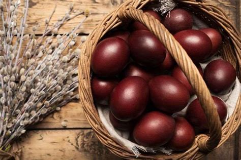 ბიო ბაღები Gori