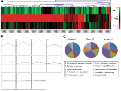 Clustering Analysis Of Expression Profiles Of Ascochytaresponsive