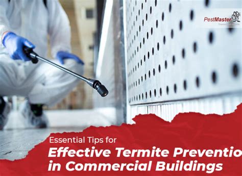 Best Practices For Pre And Post Construction Termite Control