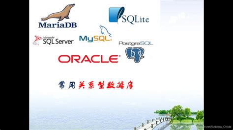 大数据应用技术实验报告五 Nosqlnosql数据库应用大作业 Csdn博客 大数据应用技术实验报告五 Nosqlnosql数据库应用大作业 Csdn博客