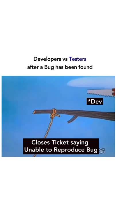 Performance Hackers On Linkedin Developers Tester Bug Testing