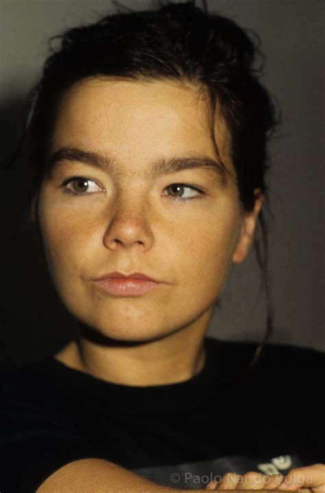 Pin By Paolo Pulga On My Music Portrait Bjork Singer Human