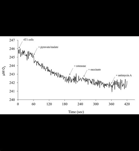 Microsensors In Cancer Research Unisense