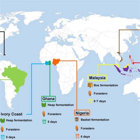 Main Cocoa Beans Fermentation Methodologies Employed And Type Cocoa Download Scientific Diagram