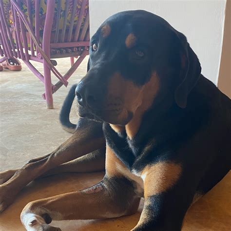 Henriette Lien Noen Ganger Er Det Ikke Nytt Innhold Vi Trenger Men