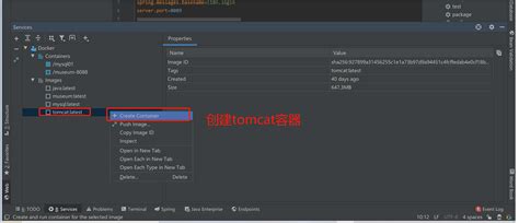 Idea中使用docker插件构建镜像并推送至私服harboridea Docker Push到harbor私有仓库出现的相关问题及解决办法