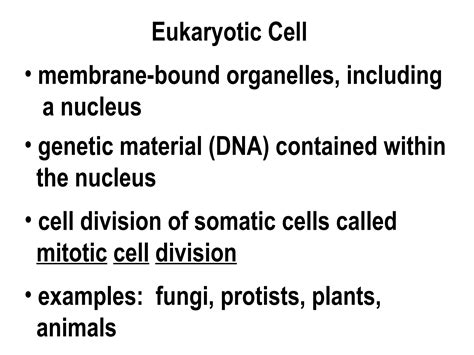 Mitosis Ppt