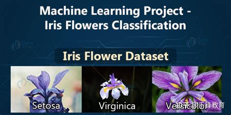 23个机器学习最佳入门项目（附源代码） 知乎