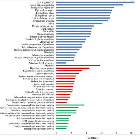 Heatmap Of Hierarchical Clustering Indicates Differentially Expressed