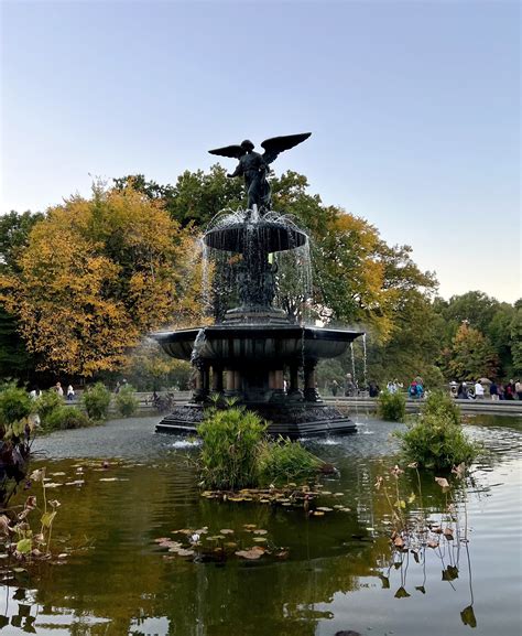 센트럴파크에 완연한 가을이 왔어요 뉴욕 New York Newyorkkr