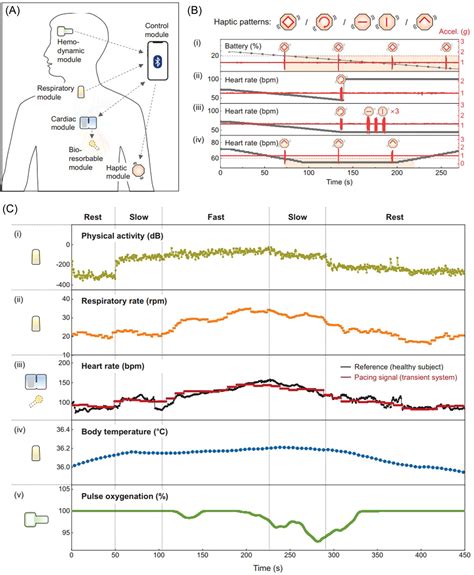 Implantable And Biodegradable Closed‐loop Devices For Autonomous