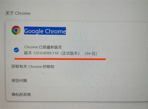 chromedriver和selenium的下载以及安装教程（114 116 117 121版本） 技术分享 云服务器