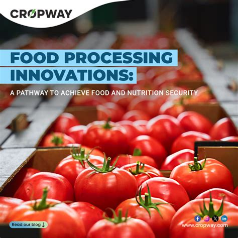 Food Processing Innovations A Promising Pathway To Achieve Food And Nutrition Security