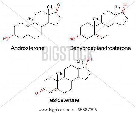 Structural Formulas Vector Photo Free Trial Bigstock