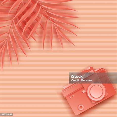 파스텔 컬러로 여름 배경입니다 종이 잘라 레트로 사진 카메라와 열 대 야 자 나뭇잎 줄무늬 배경 여름 휴가 개념 귀여운에 대한 스톡 벡터 아트 및 기타 이미지 Istock