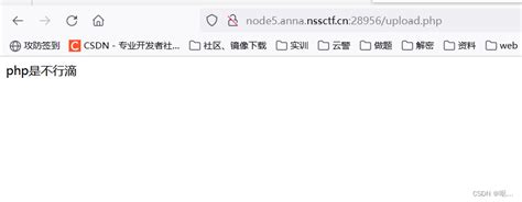 nssctf做题 [第五空间 2021]webftp csdn博客