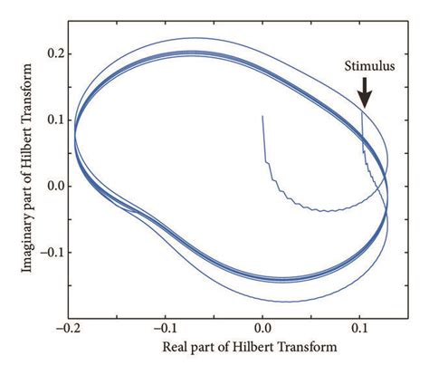 Analytical Signal From Hilbert Transform A A Typical Membrane