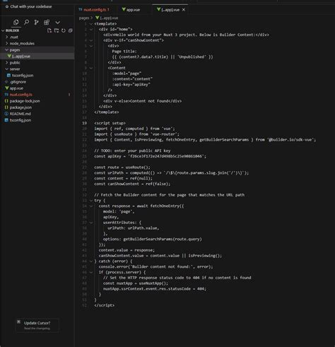 Nuxt No Content Is Loaded Nuxt Failed To Striny Dev Server Logs