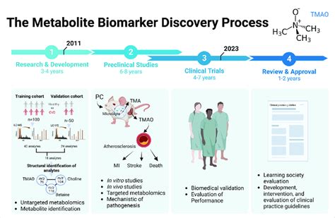 The Metabolite Biomarker Discovery Process For Trimethylamine N Oxyde