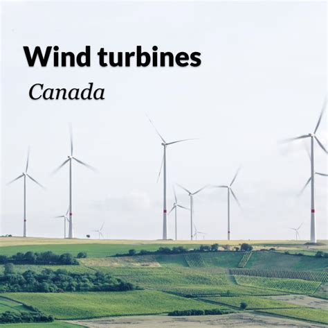 The Best Biomimicry Examples For Technology