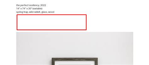 Reduce Padding Top And Bottom Of Gallery Customize With Code