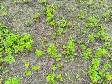 Продам земельный участок 1 000 кв м собственность есть