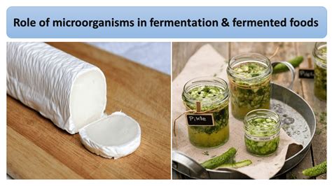 Role Of Microorganisms In Food Fermentation Microbiology Notes