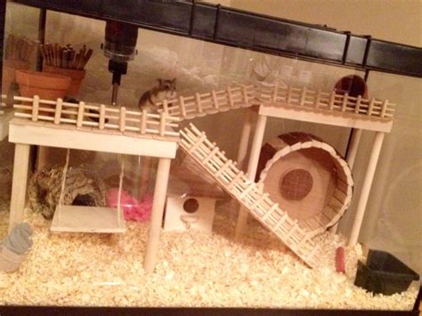 Hamster Cage Diy Aquarium Conversion Russian Campbells Dwarf Hamster Sophielittle 4