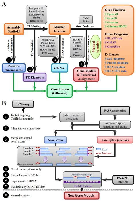Genomic Data Analysis Artofit