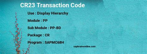 Cr23 Sap Tcode For Display Hierarchy