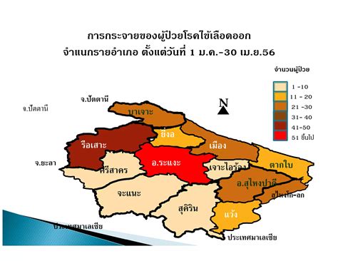 Dengue Hemorrhagic Fever Pdf