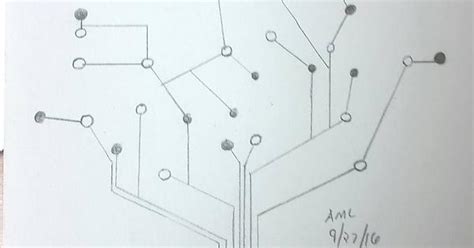 Circuit Tree Album On Imgur