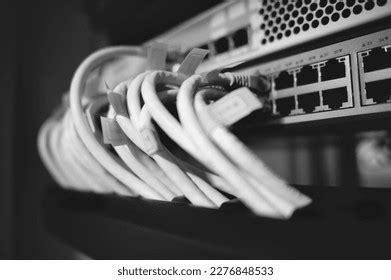 Lan Cable Connected Switch Firewall Stock Photo Shutterstock