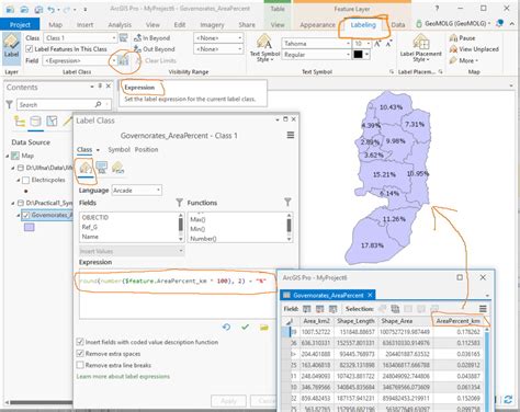 Solved ArcGIS Pro Doesnt Label Values As They Appear In Page Esri Community