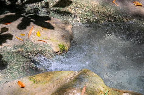 햇빛에 빠른 물 전류 야생 자연 환경 세부 사항 정글 숲 하이킹 개념 열대 섬의 신선한 수원 여름 자연 장면 녹색 단풍의 열대 우림 강 0명에 대한 스톡 사진 및 기타