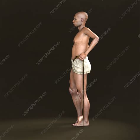 Tutankhamun Illustration Stock Image C056 7816 Science Photo Library