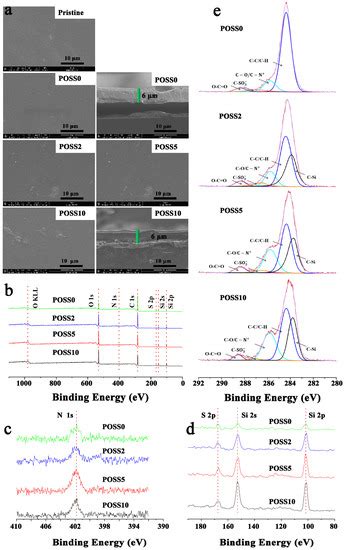 Coatings Free Full Text Photocured Zwitterionic Coatings Containing