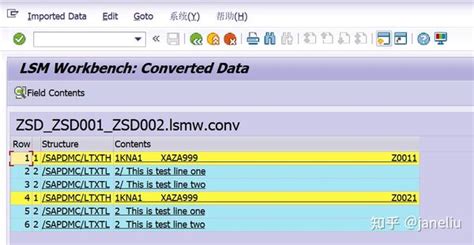 sap lsmw批量更新客户主数据长文本 知乎