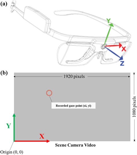 A Scene Camera And The Coordinate System X And Y Coordinates