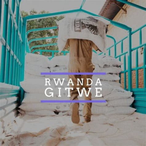 New Single Origin Release Rwanda Gitwe — Badger And Dodo