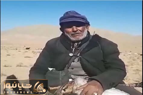 آواز احساسی؛ پیرمرد چوپان پیر و فرتوت آهنگ شجریان رو بهتر از خواننده