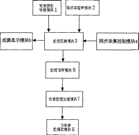 system and method for detecting characteristic of vocal cord vibration